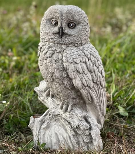 Amazon.com: Gray owl Statue for Lawn and Garden Concrete owl Figurine ...