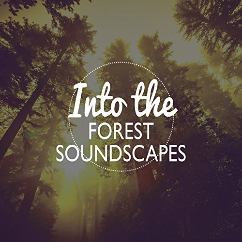 Amazon.co.jp: Into the Forest - Soundscapes : Forest Soundscapes ...