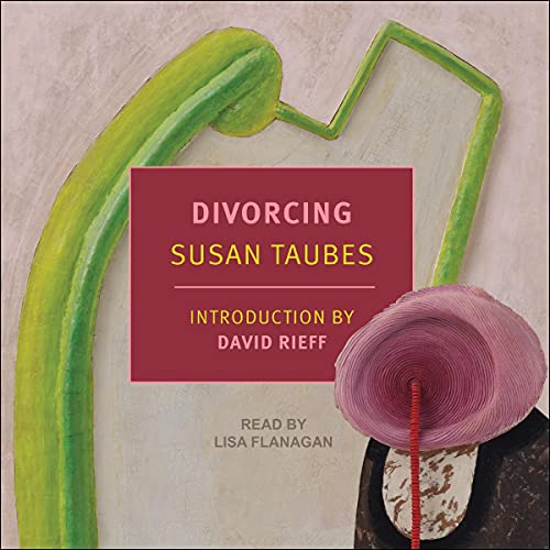 Amazon.com: Divorcing (Audible Audio Edition): Susan Taubes, David ...