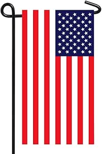 Amazon.com : Evergreen Mini with Stand - American Flag, Flag: 4 x 8 ...