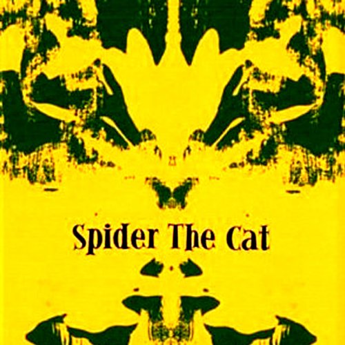 Play Spider the Cat by Spider The Cat on Amazon Music