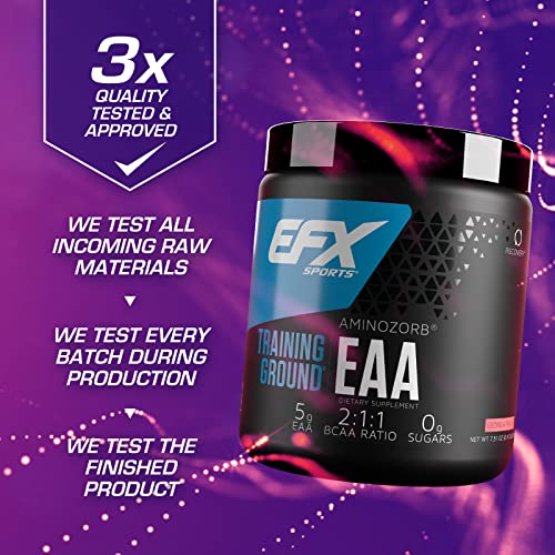 Snapklik.com : EFX Sports Training Ground EAA Essential Amino Acids ...