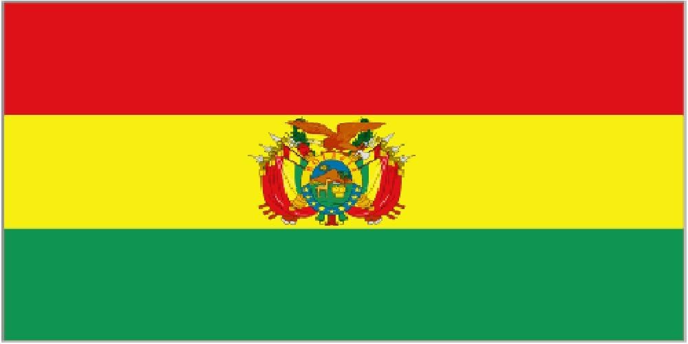 Amazon.com: Bolivia Crest pack of 12 9x6 table flags with sticks and ...