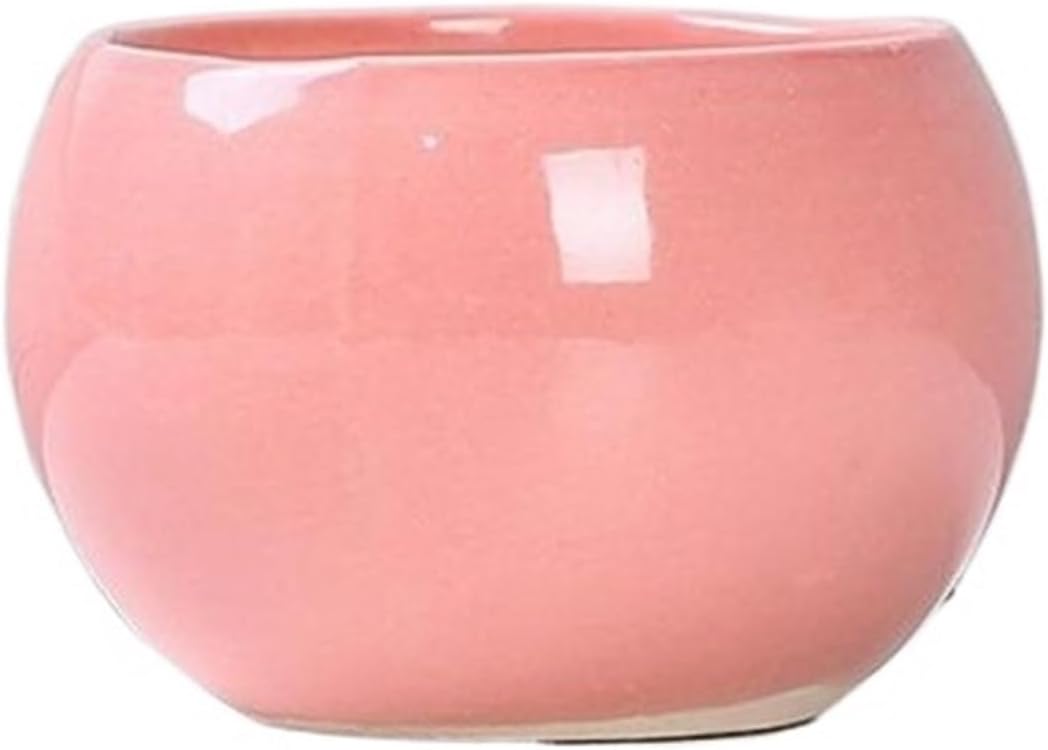 Amazon.com: Flower Pot Plant Pots Round Ceramic Small PotsFlower Pots ...