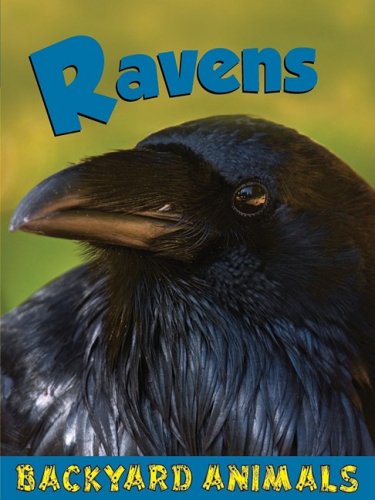 Ravens (Backyard Animals): Webster, Christine: 9781605960821: Amazon ...