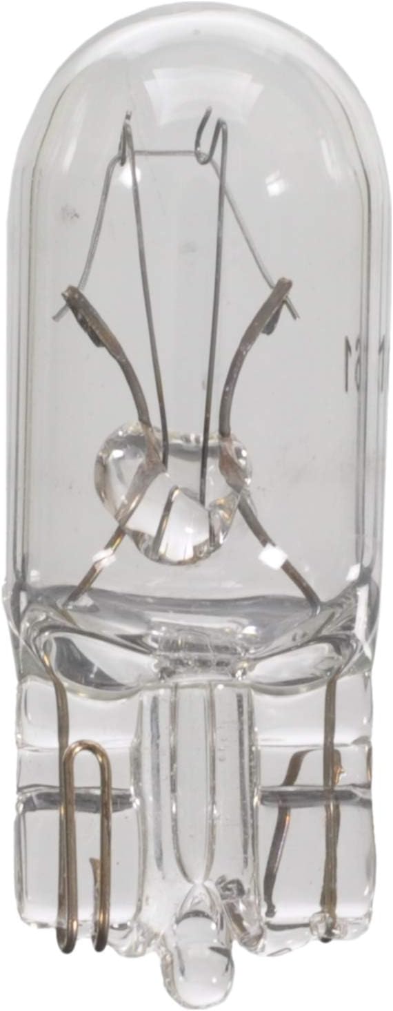 Amazon.com: Wagner Lighting BP161 Standard Multi-Purpose Light Bulb ...