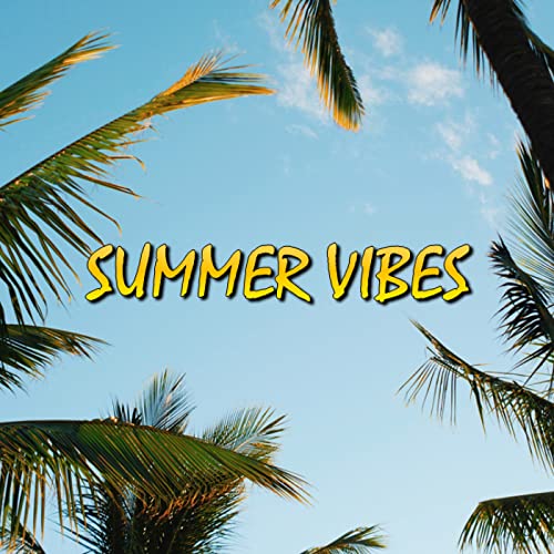 Amazon.co.jp: Summer Vibes : VARIOUS ARTISTS: デジタルミュージック