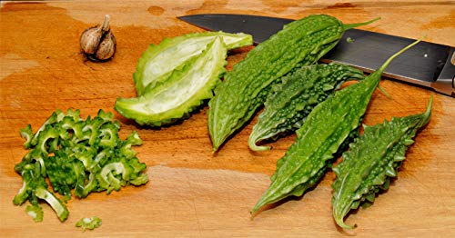 Creative Farmer Vegetable Seeds Kakarakaya Seeds - Bittergourd Seeds ...