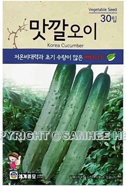 Amazon.com : Cucumber Plant Seeds Korean, 1 Pack, 4 Gram (오이) : Patio ...