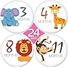 Amazon.com: 24 Pack of 4" Baby Monthly Stickers by KiddosArt. 1 Happy ...