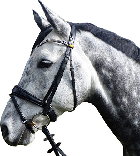 Schwedisch Kombiniertes Reithalfter – Die 15 besten Produkte im ...