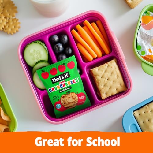 That's it. Fruit Crunchables (15 Pack) Apple Crisps healthy snacks for ...