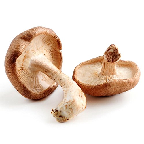 GISKAA Uyen - Dried Shiitake Mushroom (Queen of The Plant)- 25 g from ...