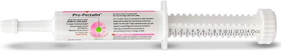 Amazon.com : Vetoquinol Pro-Pectalin Oral Paste for Dogs & Cats ...