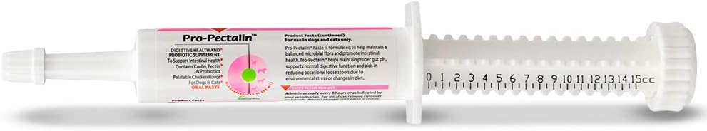 Amazon.com : Vetoquinol Pro-Pectalin Oral Paste for Dogs & Cats ...