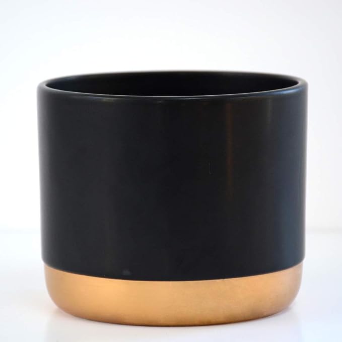 Two-Tone Black & Gold Medium Ceramic Plant Flower Pot Round Modern ...