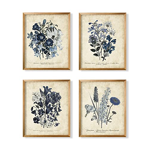 Amazon.com: Primitive Blue Magnolia Leaves Pictures Gallery Gift ...