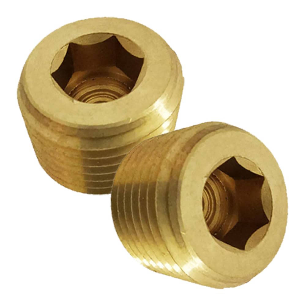 Amazon.com: FloFlex 2 Pcs Brass Pipe Plug, 3/8" Male NPT Hex Head Hose ...