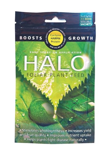 HALO Foliar Plant Feed - 5 x 2.5g Sachets : Amazon.co.uk: Garden