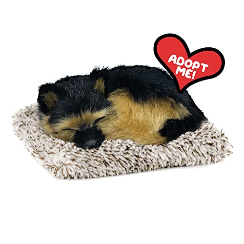 Top 10 Fox Perfect Petzzz: Your Ultimate Guide to a Cuddly and Lovable Companion - Furry Folly