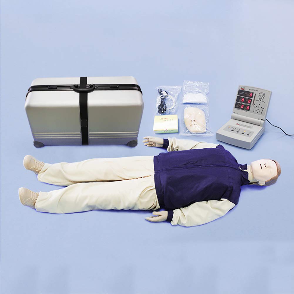 Buy INEBIZ CPR First Aid Training, Manikin Teaching Model, CPR First ...