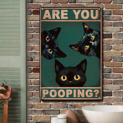 Amazon.com: Black Cat Are You Pooping Funny Tin Signs Bathroom Wall ...