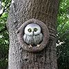 Amazon.com: JARPSIRY Owl Tree Hugger Whimsical Tree Sculpture Garden ...