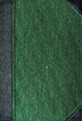 Die Naturlichen Pflanzenfamilien Nebst Ihren Gattungen Und Wichtigsten ...