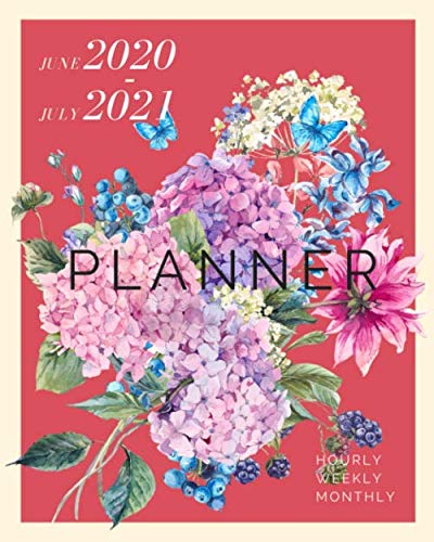 Planner July 2020 - June 2021 Hourly Weekly Monthly: 8x10 Academic Year ...