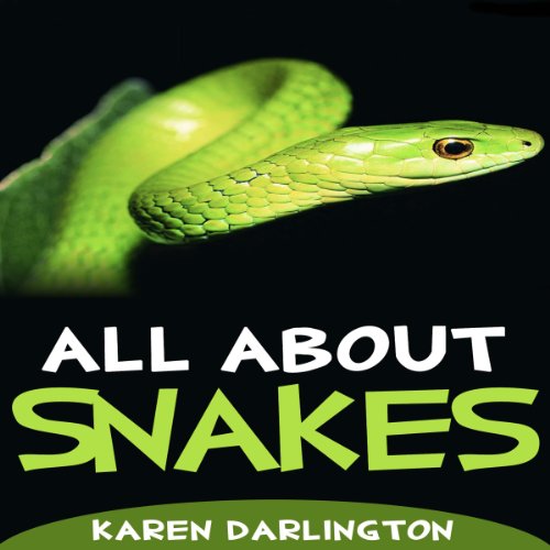 Amazon.com: All About Snakes: All About Animals (Audible Audio Edition ...