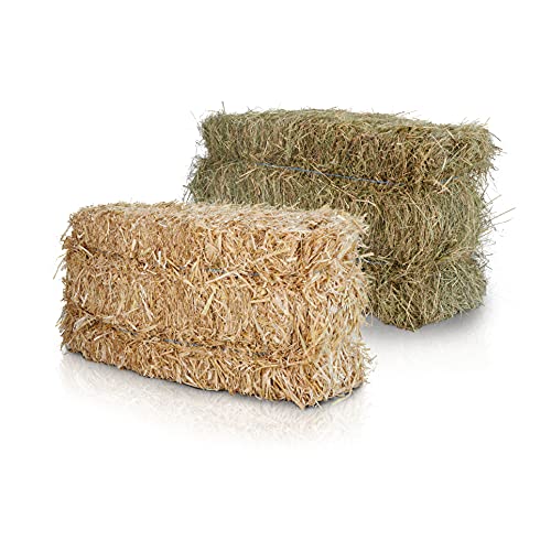 Heukiste Für Nasses Heu – Die 15 besten Produkte im Vergleich ...