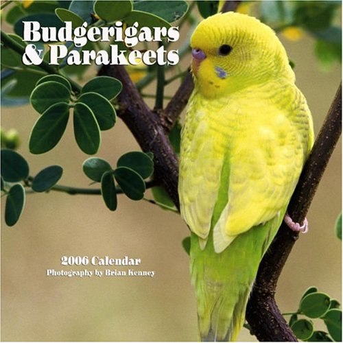 Budgerigars & Parakeets 2006 Calendar: Kenney, Brian: 9780763187071 ...