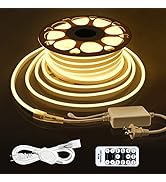 Amazon.com: Samsion Blue Neon Rope Lights 82ft Dimmable Neon Light ...