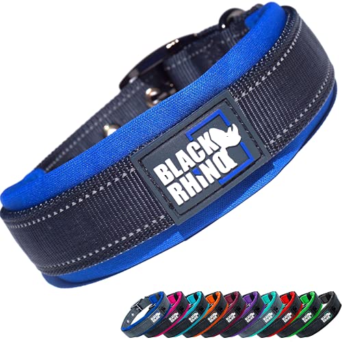 10 Best Dog Collars For Labs In 2023 (Tested & Reviewed)