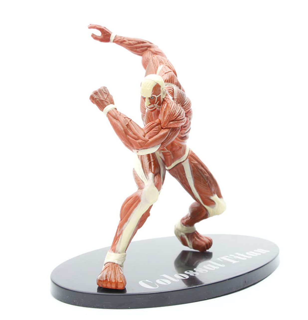 Attack On Titan Tactics Colossal Titan Action Model Anime Figure ...