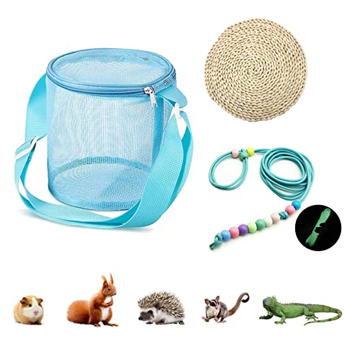 10 Best Leopard Gecko Carriers for Safe Travel: A Comprehensive Review ...