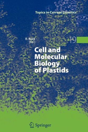 Cell and Molecular Biology of Plastids : Amazon.in: Books