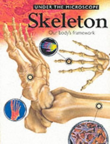 Skeleton: Jinny Johnson: 9780749644000: Amazon.com: Books