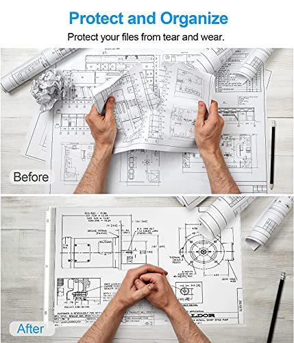 Snapklik.com : Sheet Protectors 11 X 17 Inch, Ledger Size Clear Plastic ...