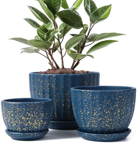 Amazon.com: SOUJOY Set of 3 Ceramic Flower Pots, Gardening Plant Pot ...