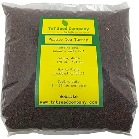 Amazon.com : 5 LB Purple Top Turnip Seed - Deer Food Plots - Brassica ...