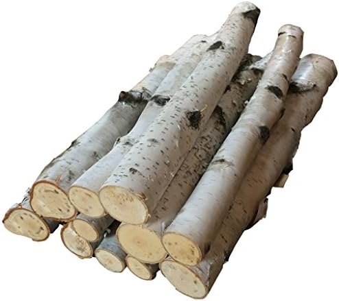 Amazon.com : Wilson Decorative White Birch Log Bundle, Natural Bark ...