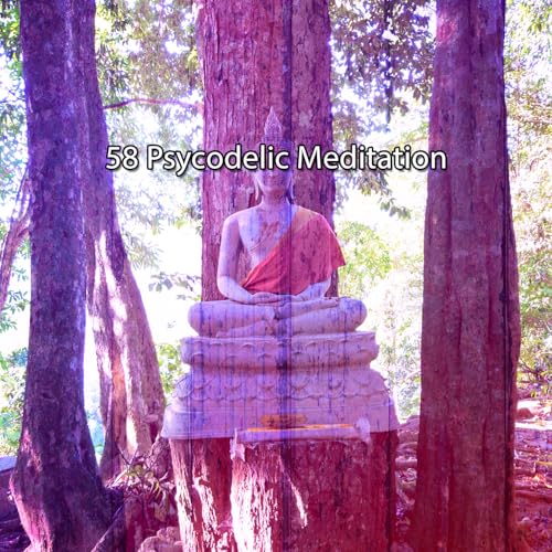 Approaching The Fairies Forest canción de Natural White Noise - Music ...