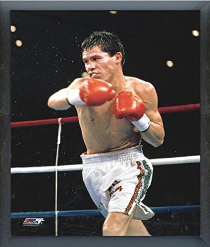 Amazon.com: Julio Cesar Chavez Boxing Action Photo (Size: 12" x 15 ...