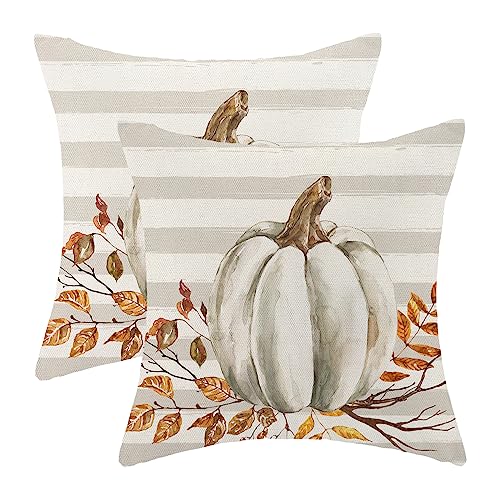 Fall Essentials 2026: Best Amazon Fall Finds for a Cozy, Seasonal Home ...