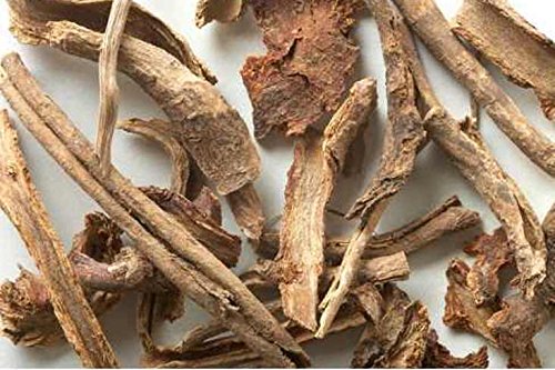 Urancia® Brahmadandi smooth tricholepis Tricholepis glaberrima 150g ...