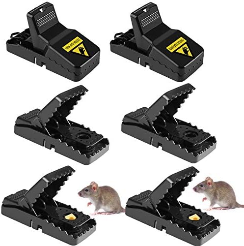 Mouse Trap, Mouse Traps That Work Mice Trap Outdoor Indoor Best Snap ...
