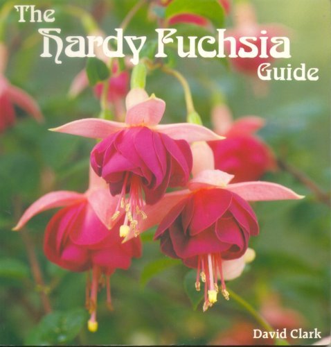 The Hardy Fuchsia Guide: Clark, David: 9780951057872: Amazon.com: Books