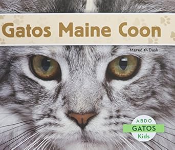 Gatos Maine Coon (Gatos / Cats) (Spanish Edition): Dash, Meredith ...