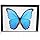Amazon.com: BicBugs Morpho didius REAL FRAMED Blue BUTTERFLY PERU ...